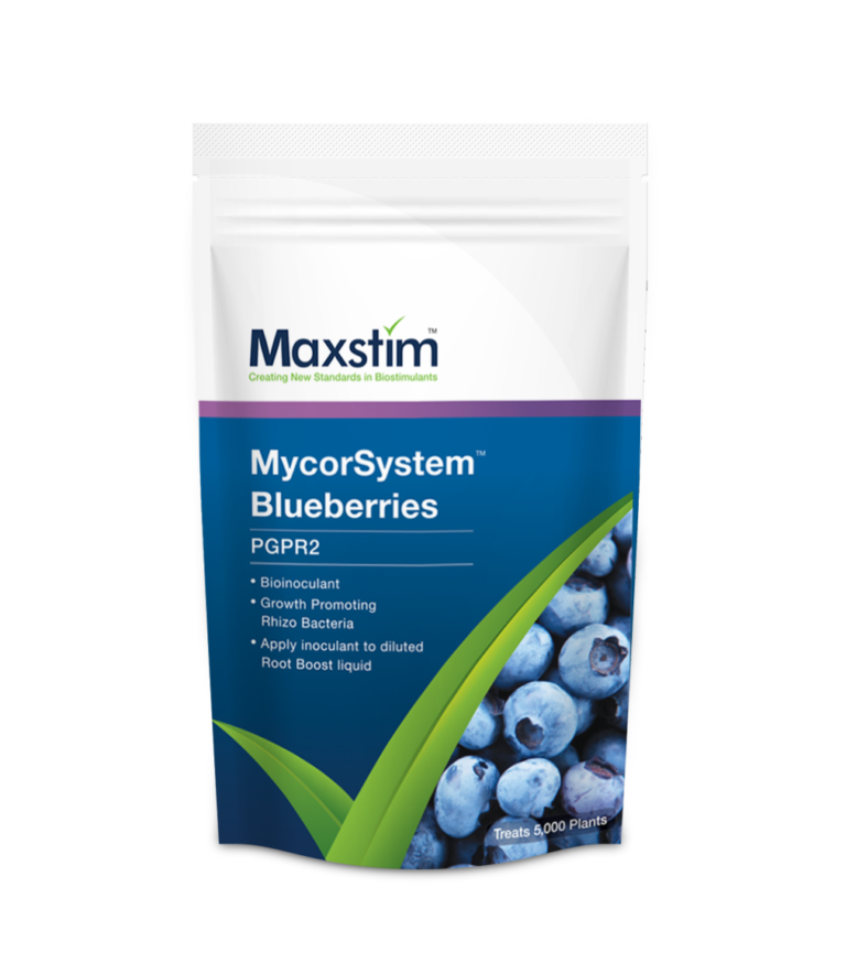 Mycorsystem by Maxstim | Maxstim
