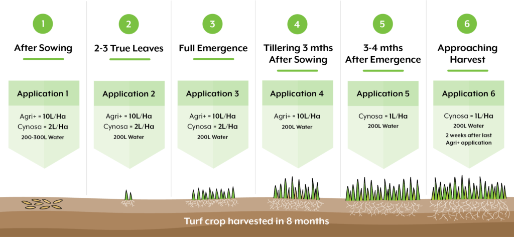 Where do Maxstim complex biostimulants fit into the process of growing ...
