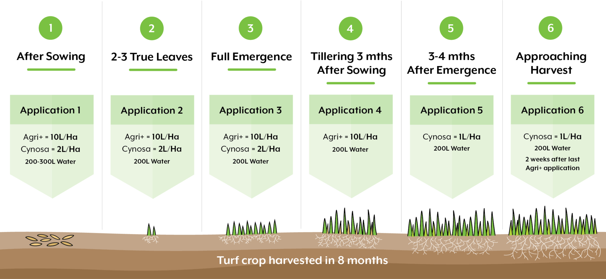 Where do Maxstim complex biostimulants fit into the process of growing ...