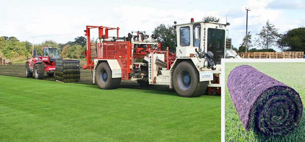 Turf Growing - Maxstim