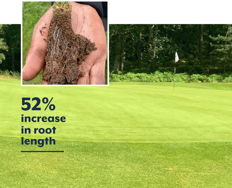 Farnham Golf Club sees a 52% increase in root length across all treated ...