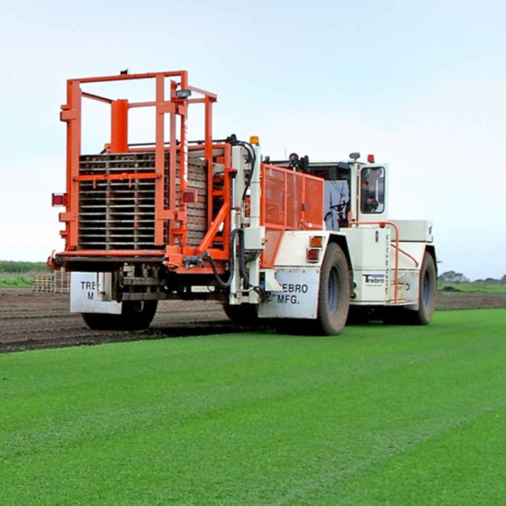 Turf Growing | Maxstim