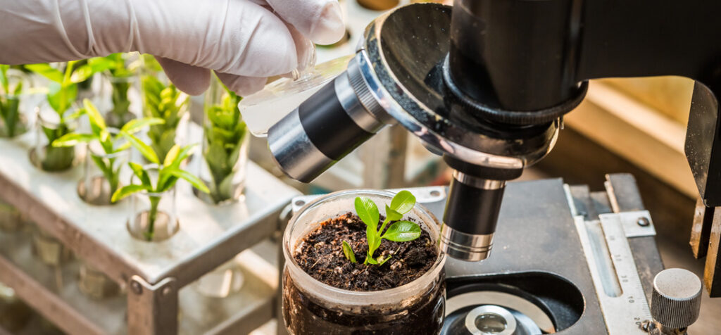 A new era of complex biostimulants - Maxstim