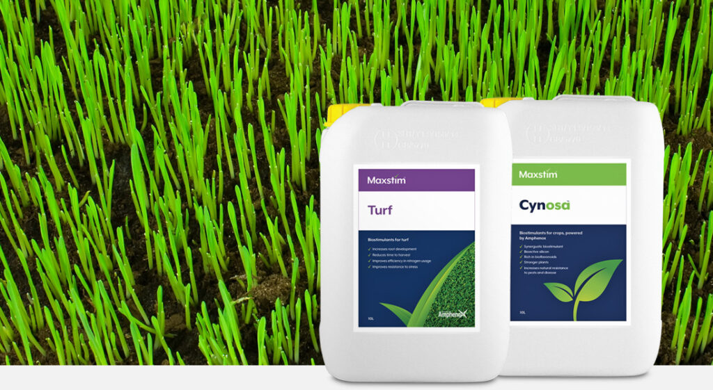 Silicon: a solution for salt stress in turfgrass | Maxstim Ltd